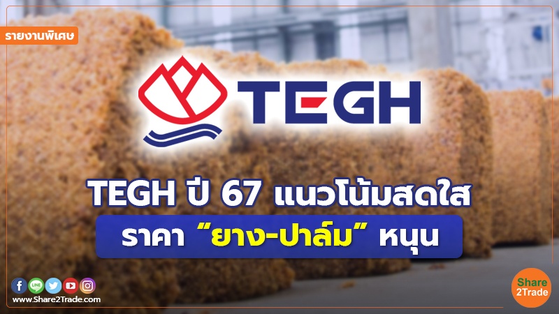 รายงานพิเศษ : TEGH ปี 67 แนวโน้มสดใส ราคา “ยาง-ปาล์ม”หนุน | Share2Trade